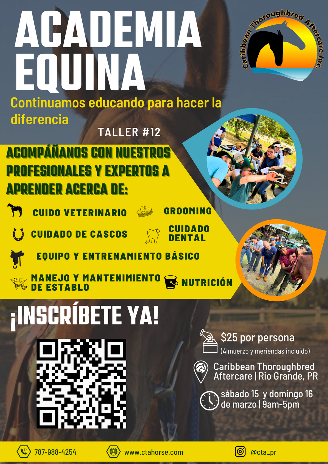 Equine Academy Puerto Rico | Caribbean Thoroughbred Aftercare