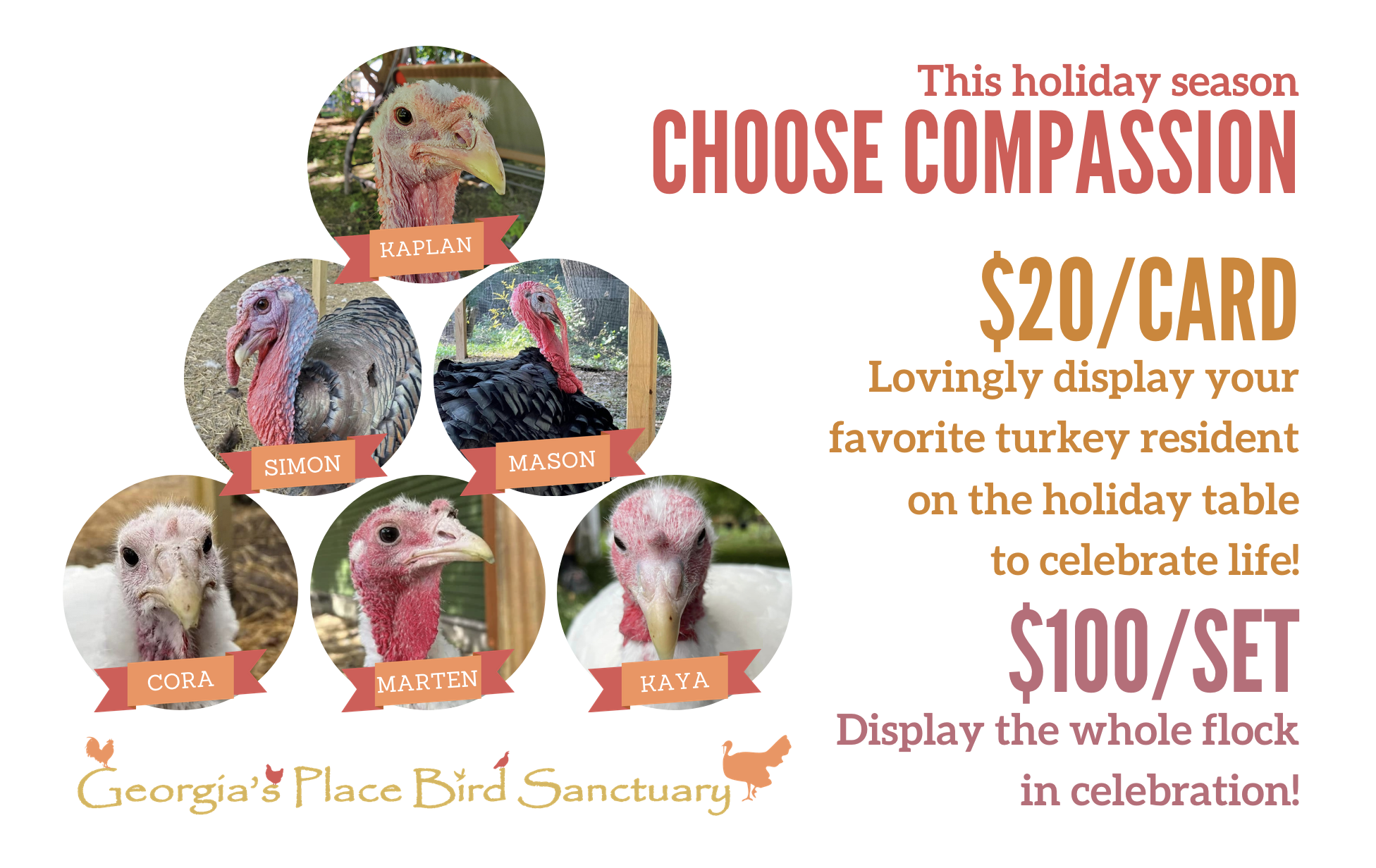 Celebrate Turkeys Cards