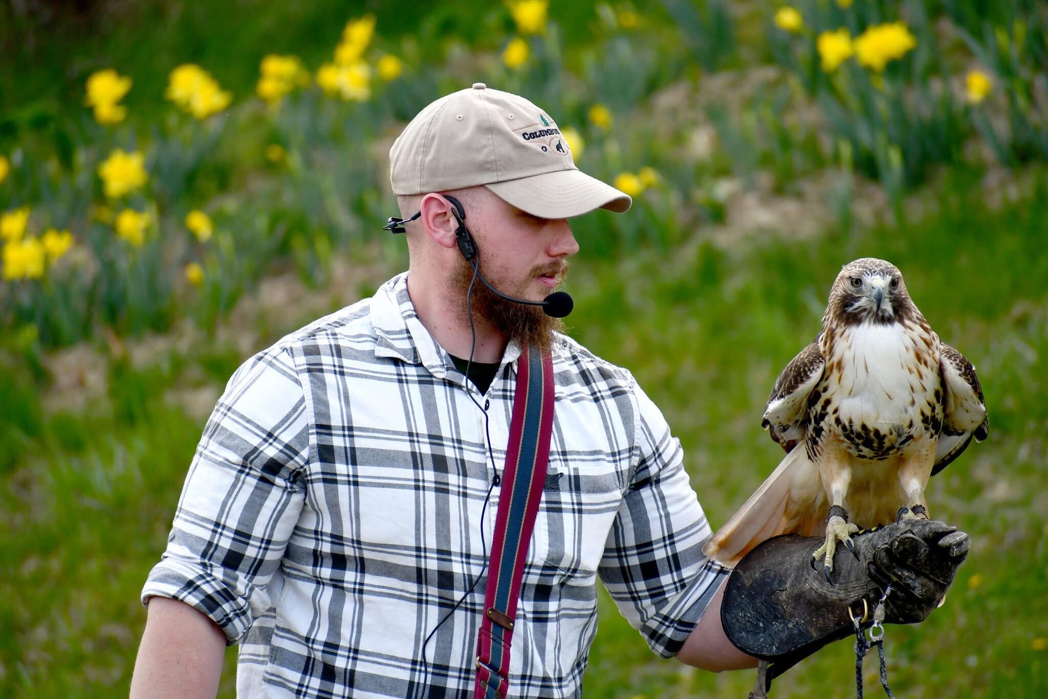 FALCON SHOW