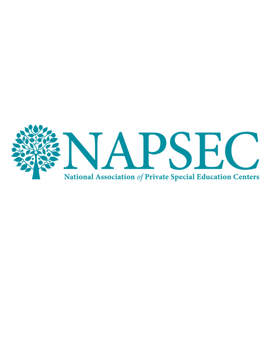 2026 NAPSEC Foundation Auction | National Association of Private ...