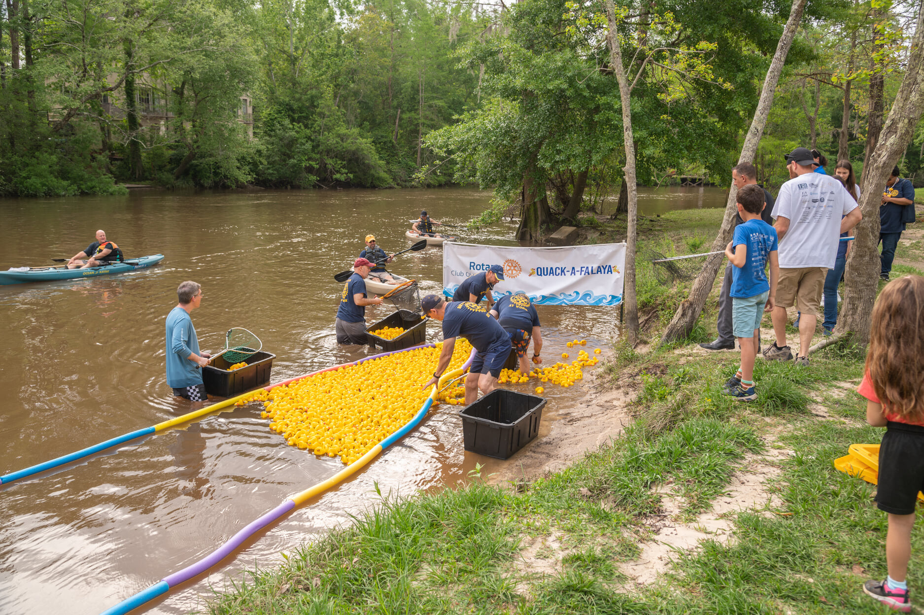 Quack A Falaya Duck Race