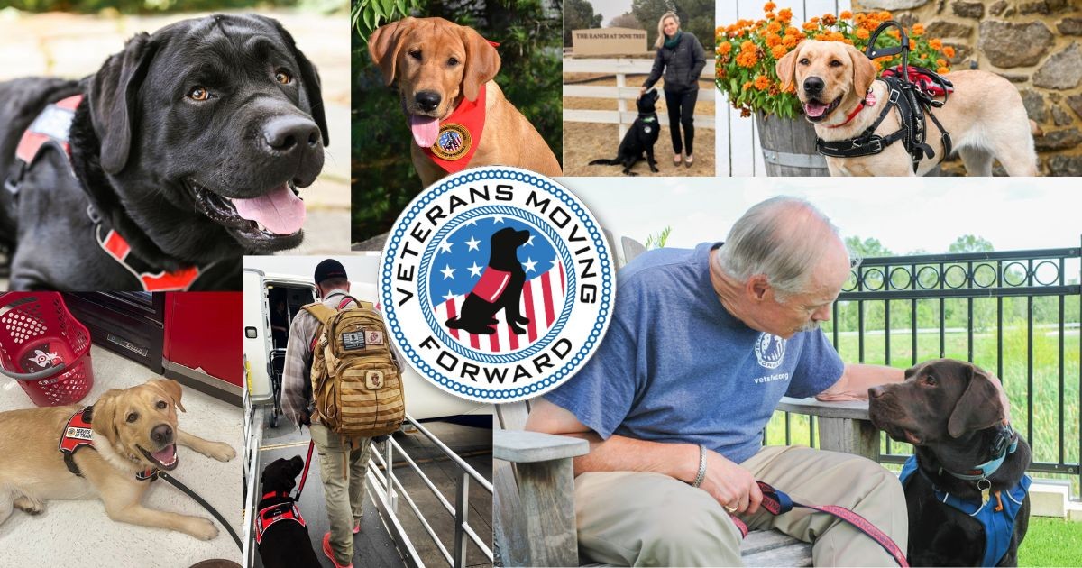 Help Give Veterans a New Leash On Life | Veterans Moving Forward