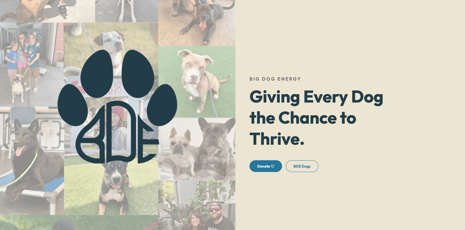 🚀 Big Dog Energy Website Launch: $1K in 1 Week Challenge 🐾