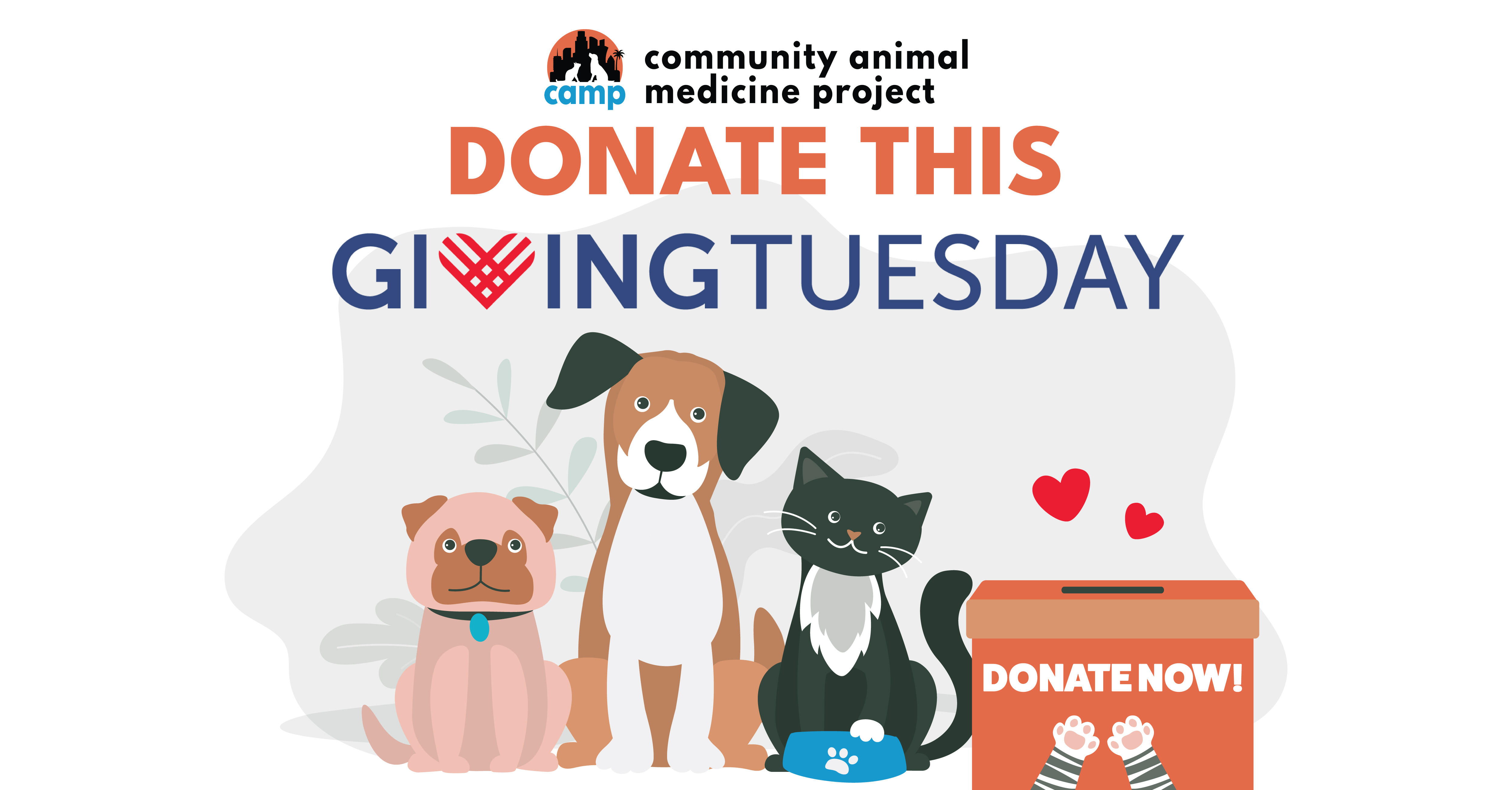 Camp S Giving Tuesday Fundraising Campaign 2025 Community Animal