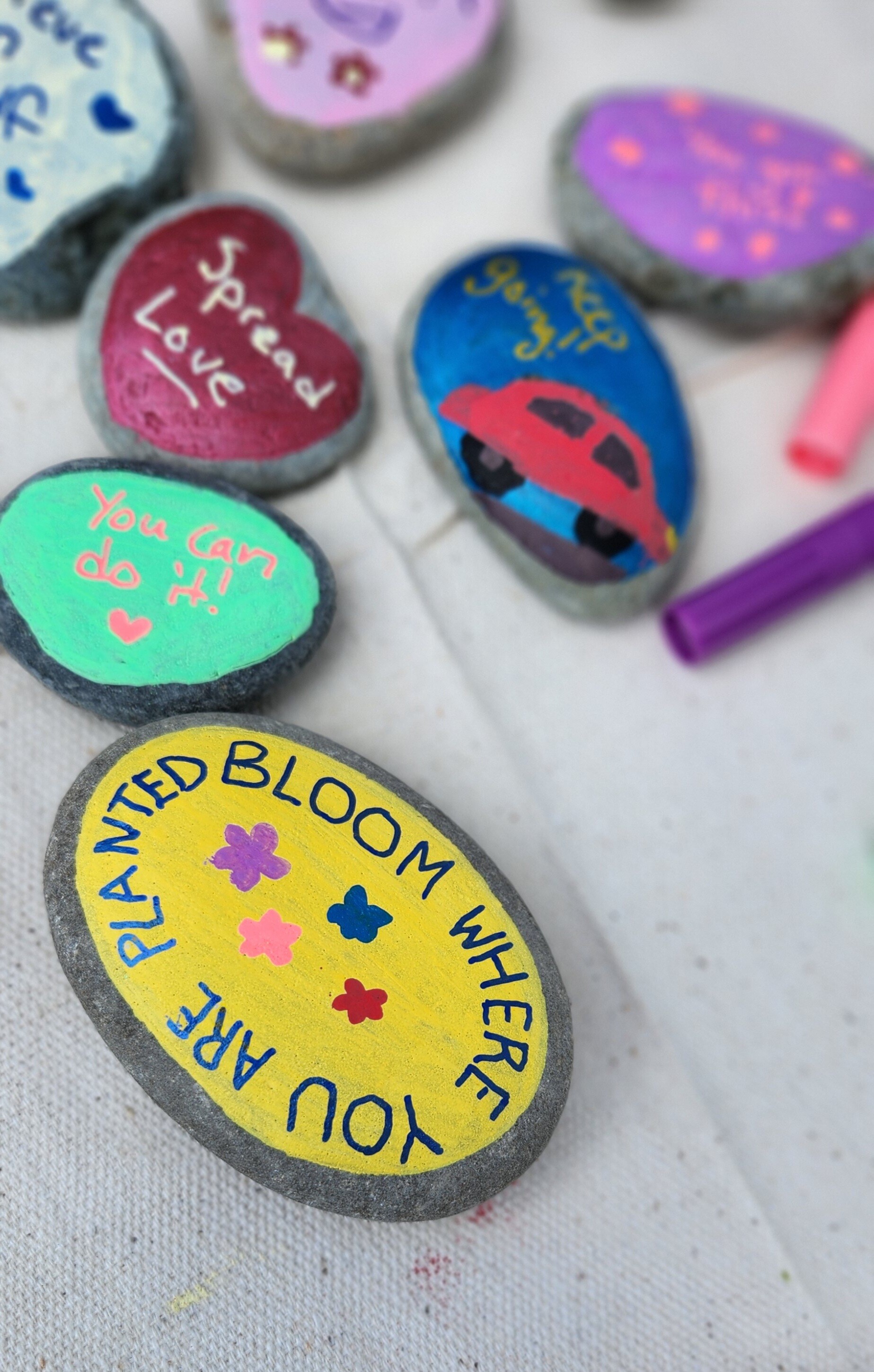 Kindness Rocks Project