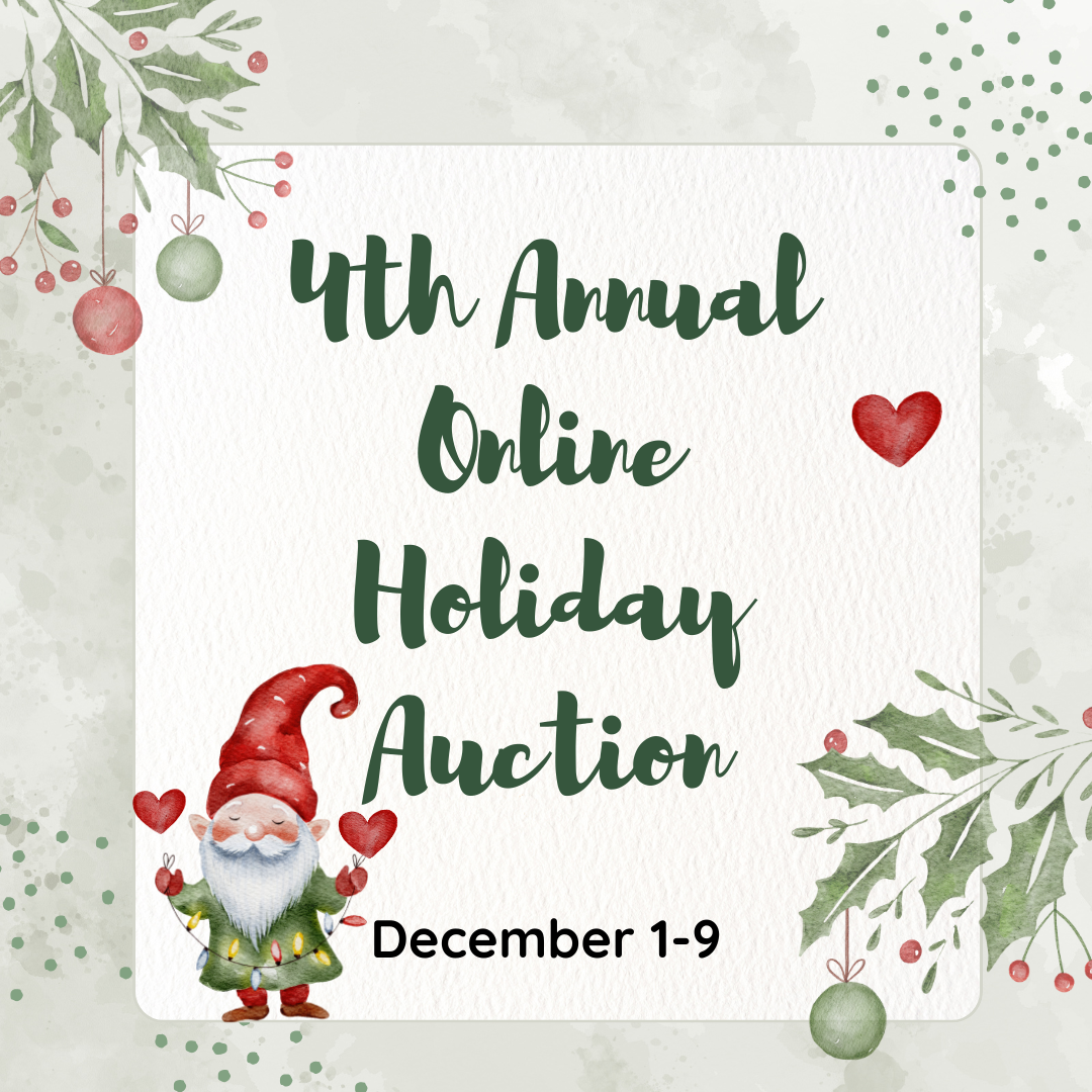AMOR Holiday Auction 2023