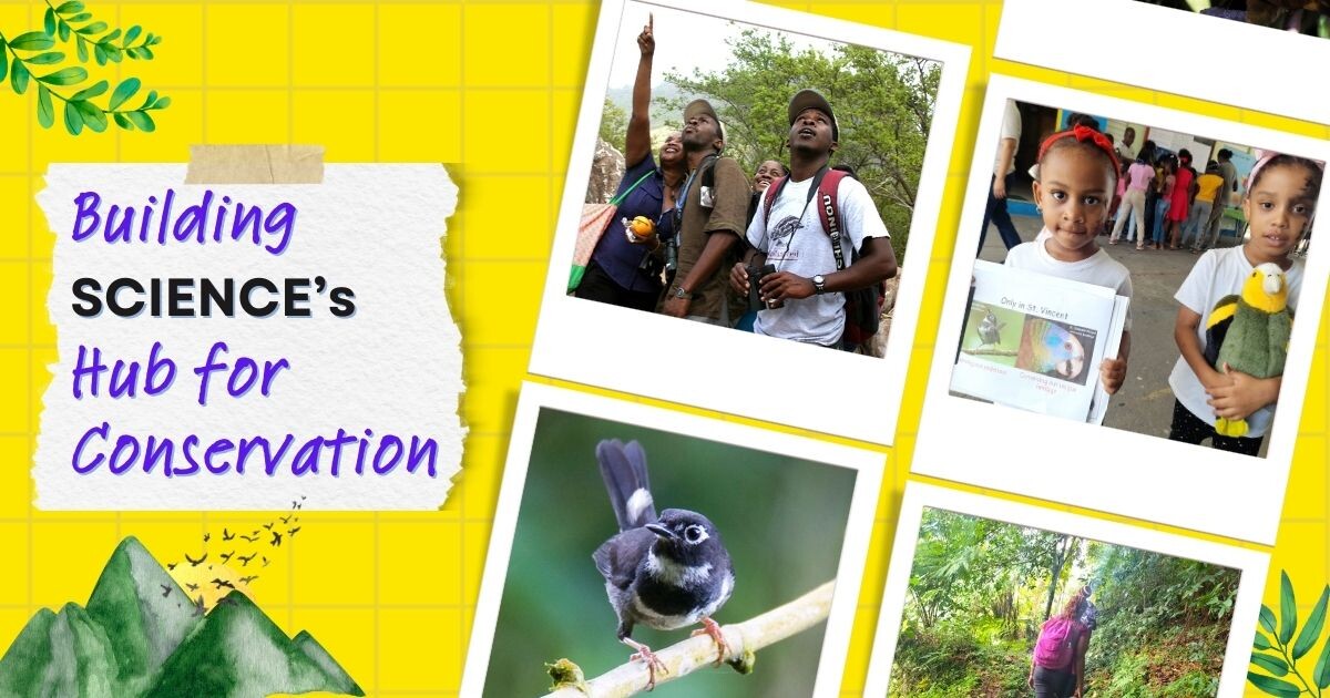 A Foundation for a Green Future: Building SCIENCE’s Hub for Conservation