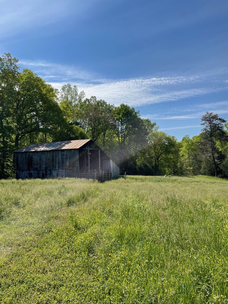 The Confluence | Benzai Bloomstead