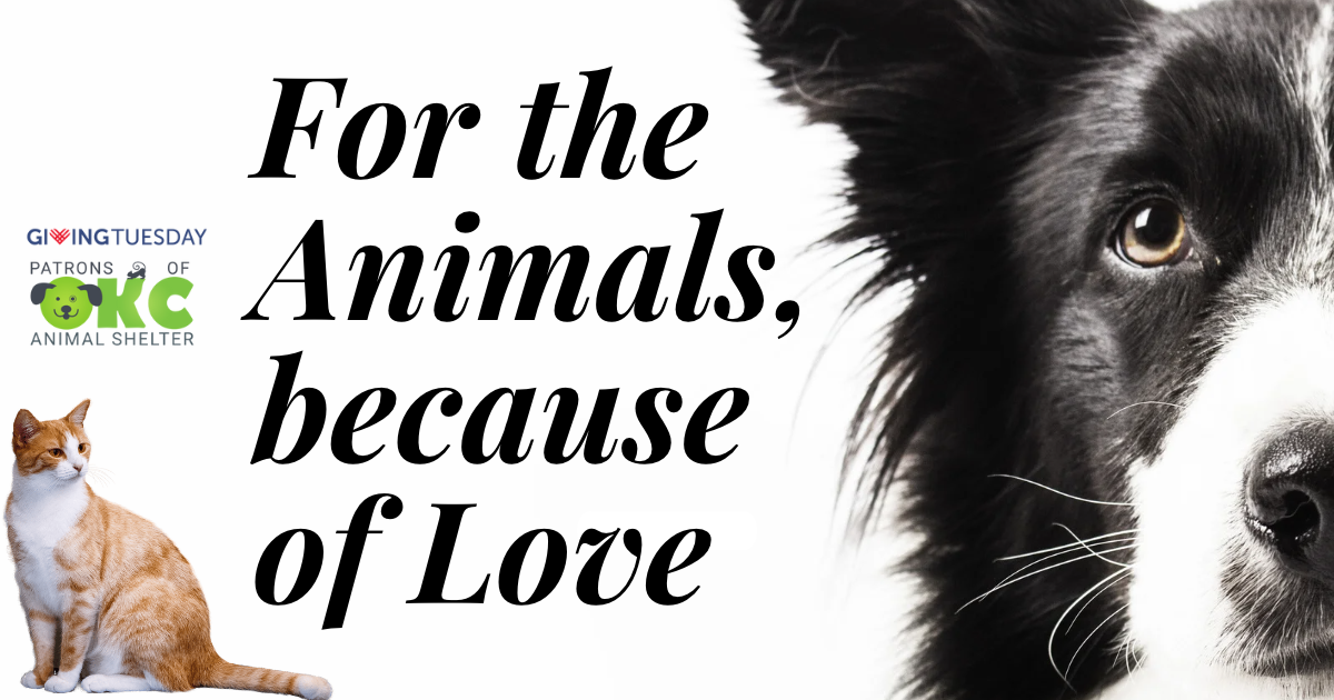 For the Animals, Because of Love