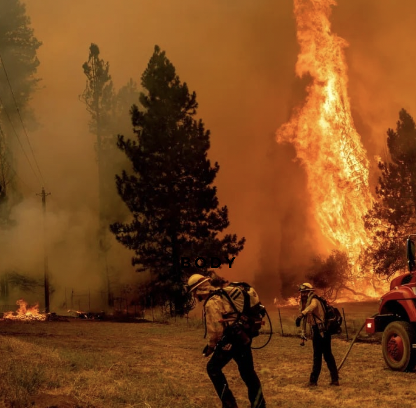 California Fire Response