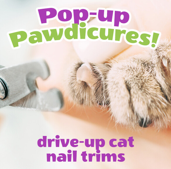 6-7-25 Pop-Up Pawdicures Drive-Up Cat Nail Trims | OSHKOSH AREA HUMANE ...