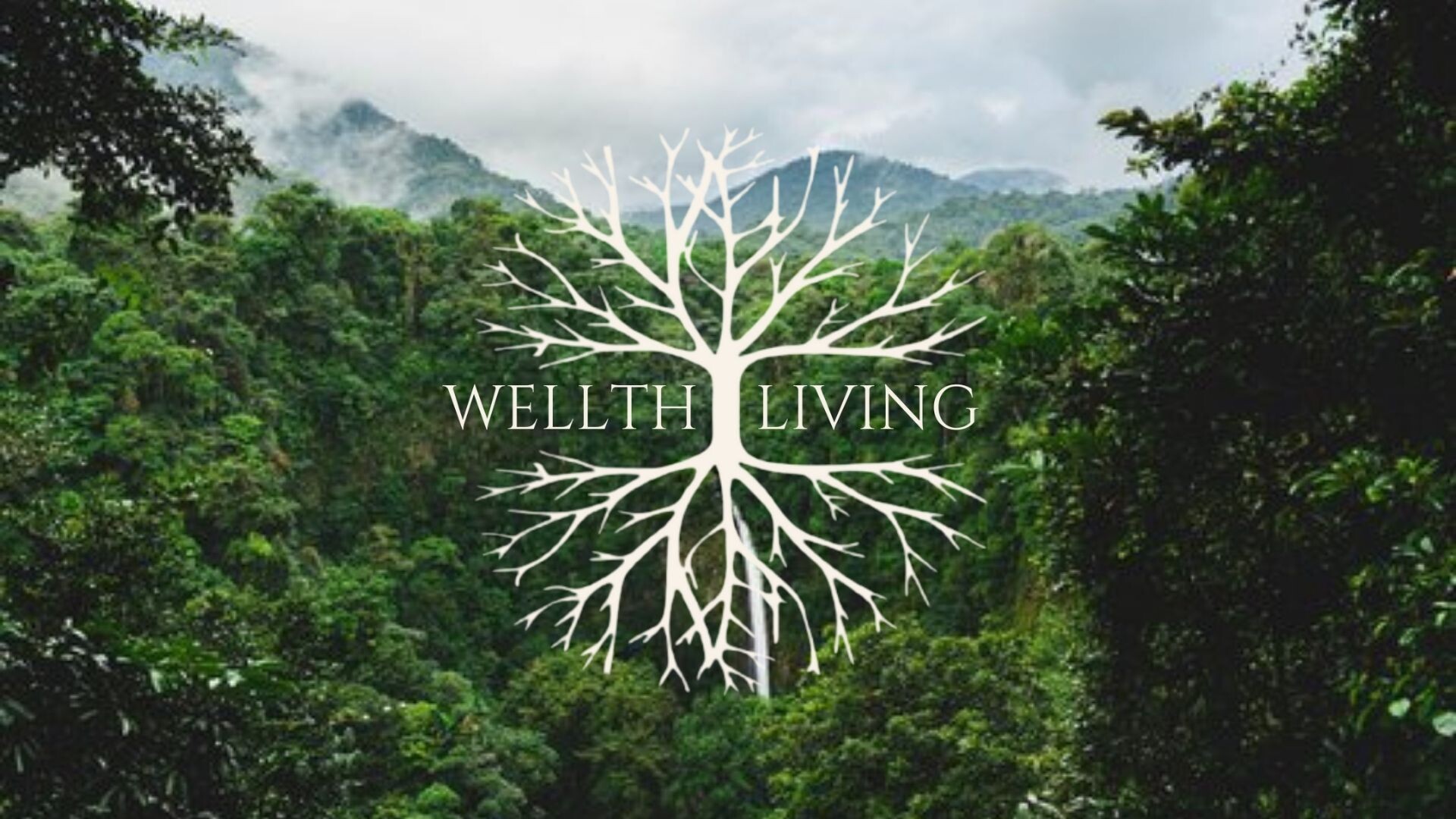Become a Partner with Wellth Living