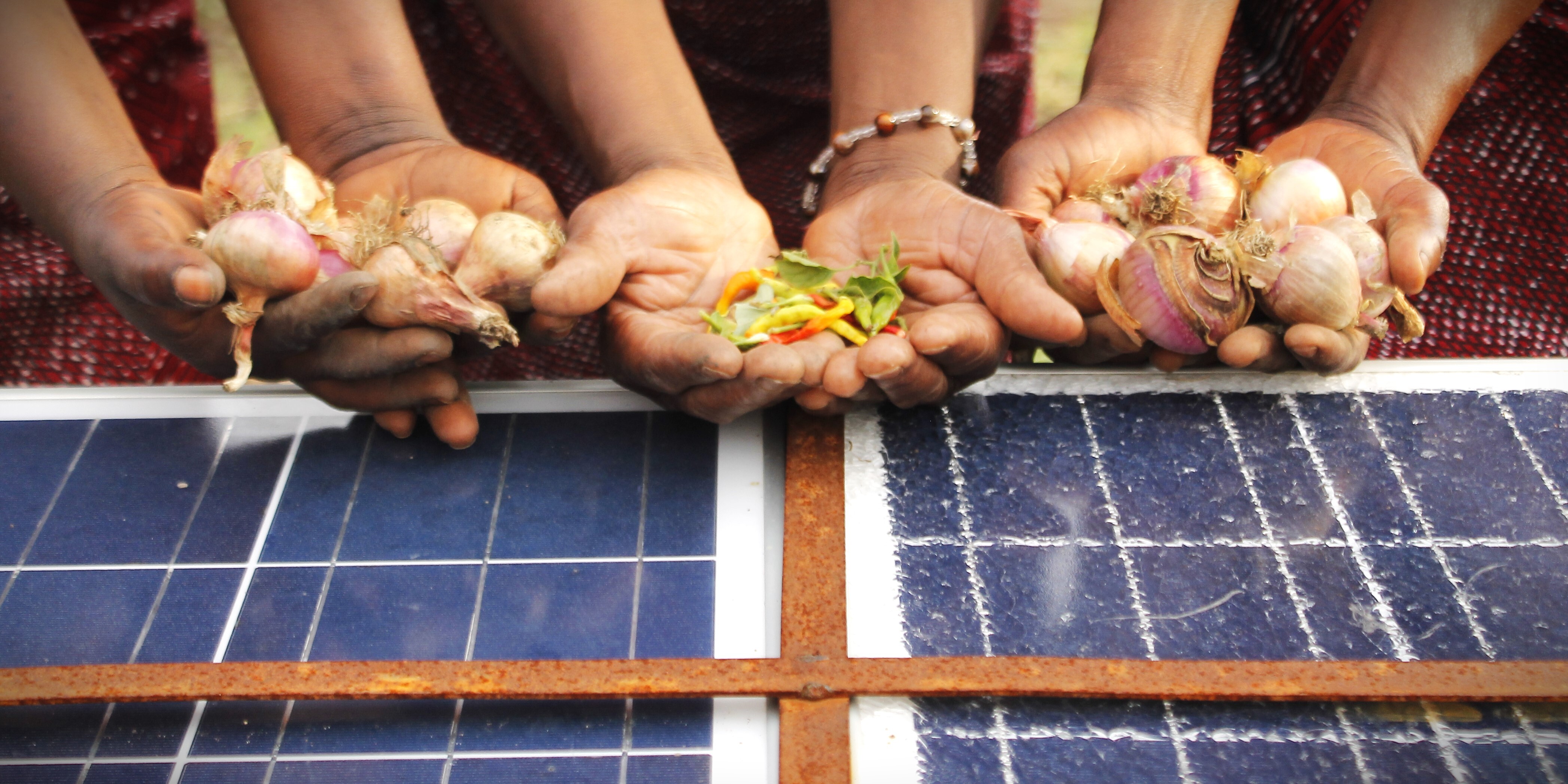 Your Favorite Charity or Cause: The Harvest Fund | The Harvest Fund