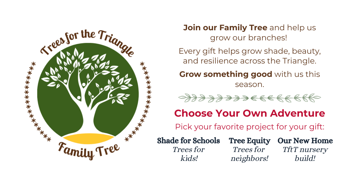 Join the Trees for the Triangle Family Tree! | Trees for the Triangle