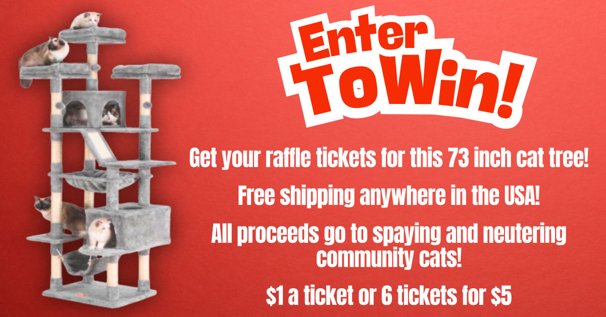 TNR Patrol Cat Tower Raffle