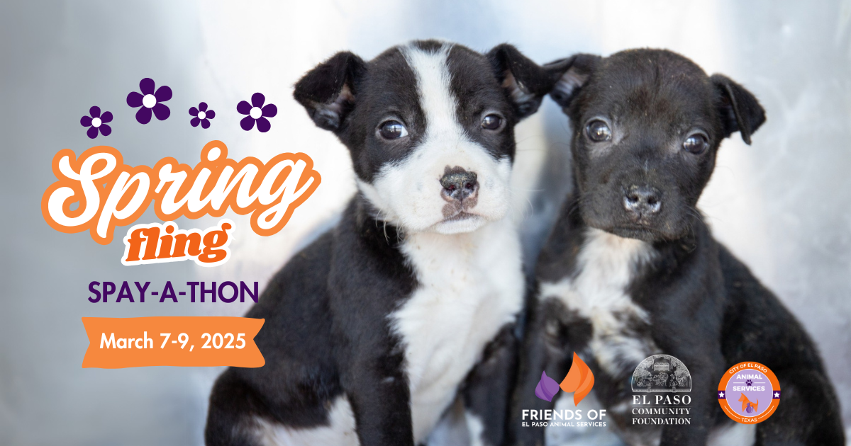 El Paso Spring Fling Spay-A-Thon Registration | Friends of El Paso ...