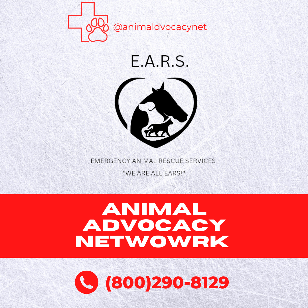 Animal rescue, Emergency, fire, evacuation,