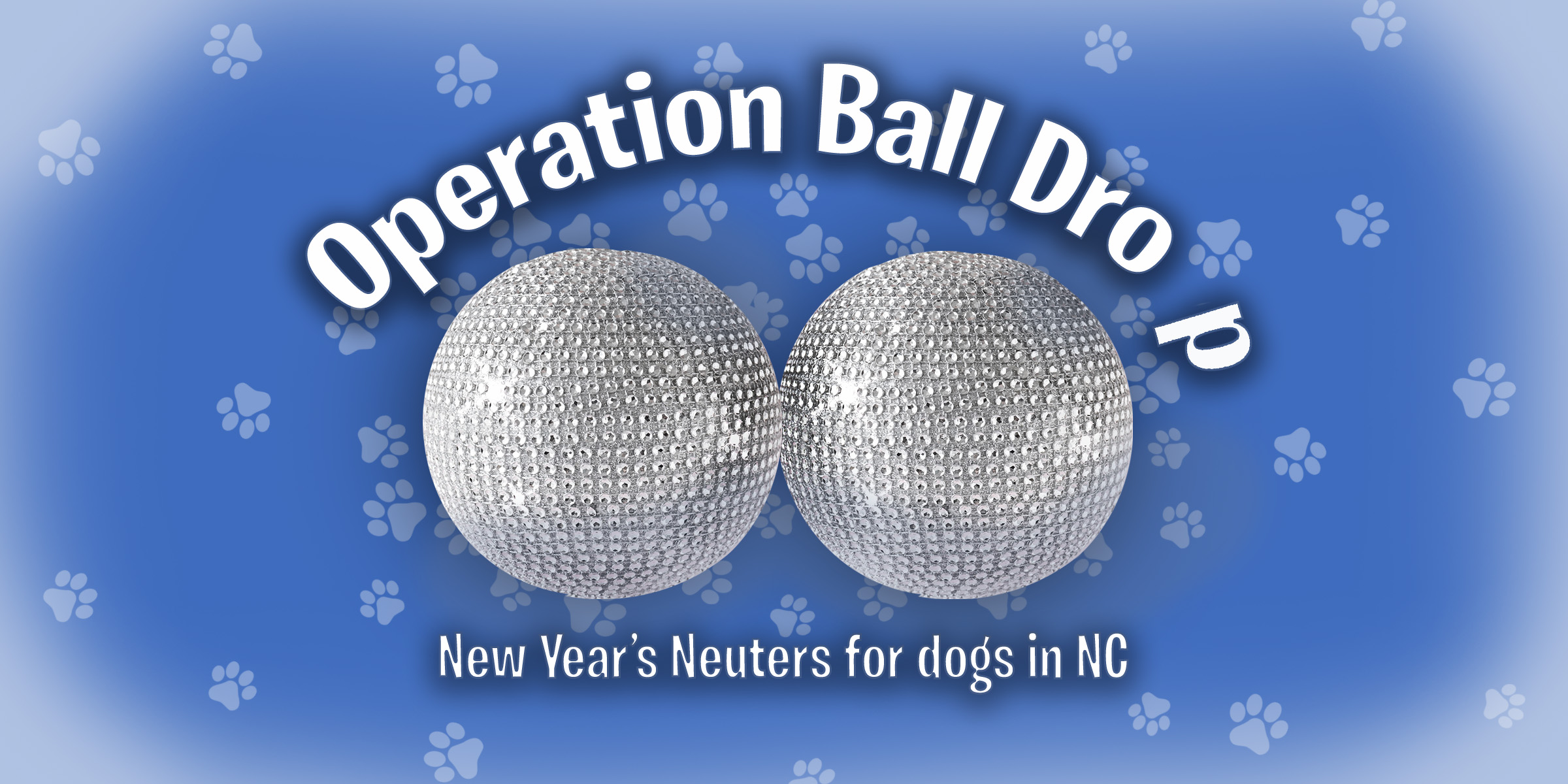 Operation Ball Drop 2022