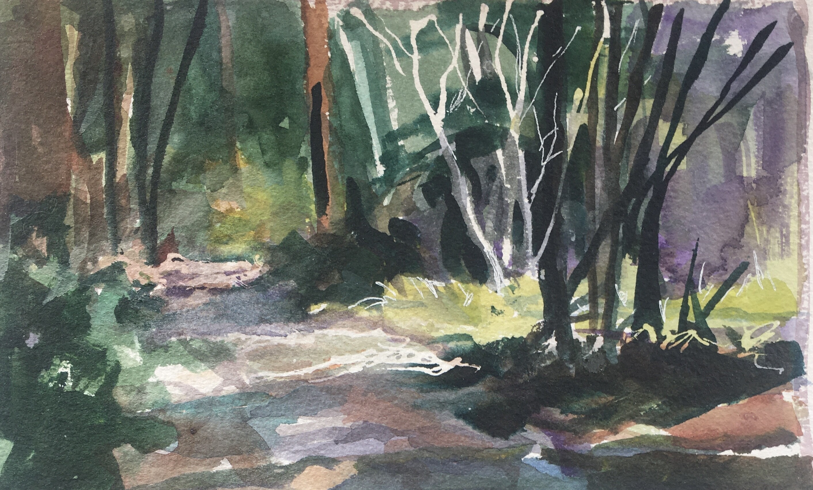 Legacy Landscape Fall 2024