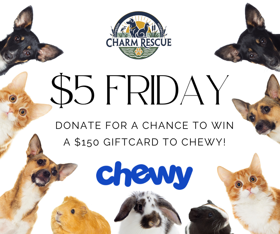 🐾 $5 Friday: $150 Chewy Gift Card