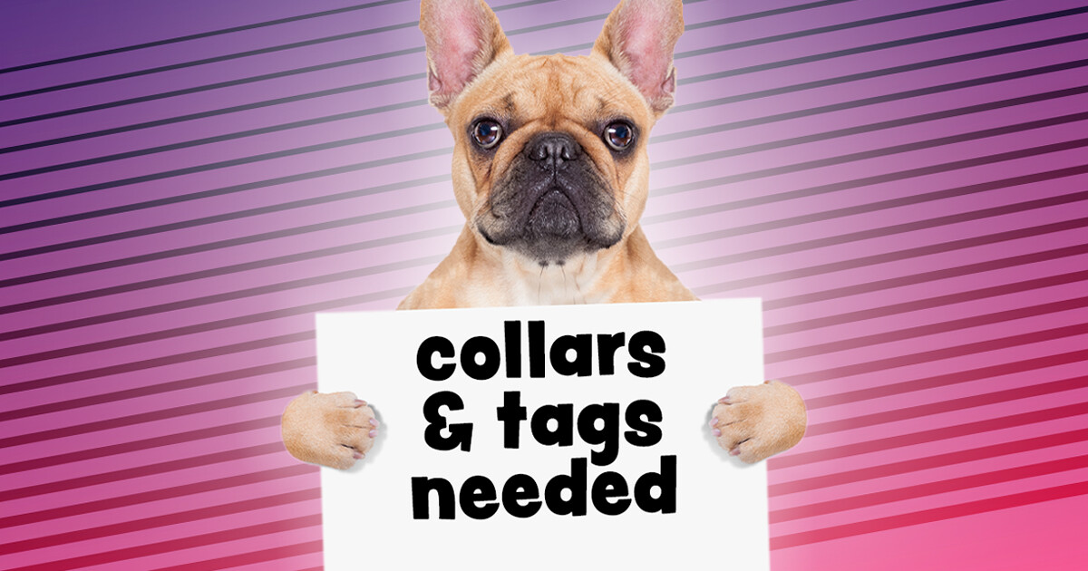 Collars & Tags Needed
