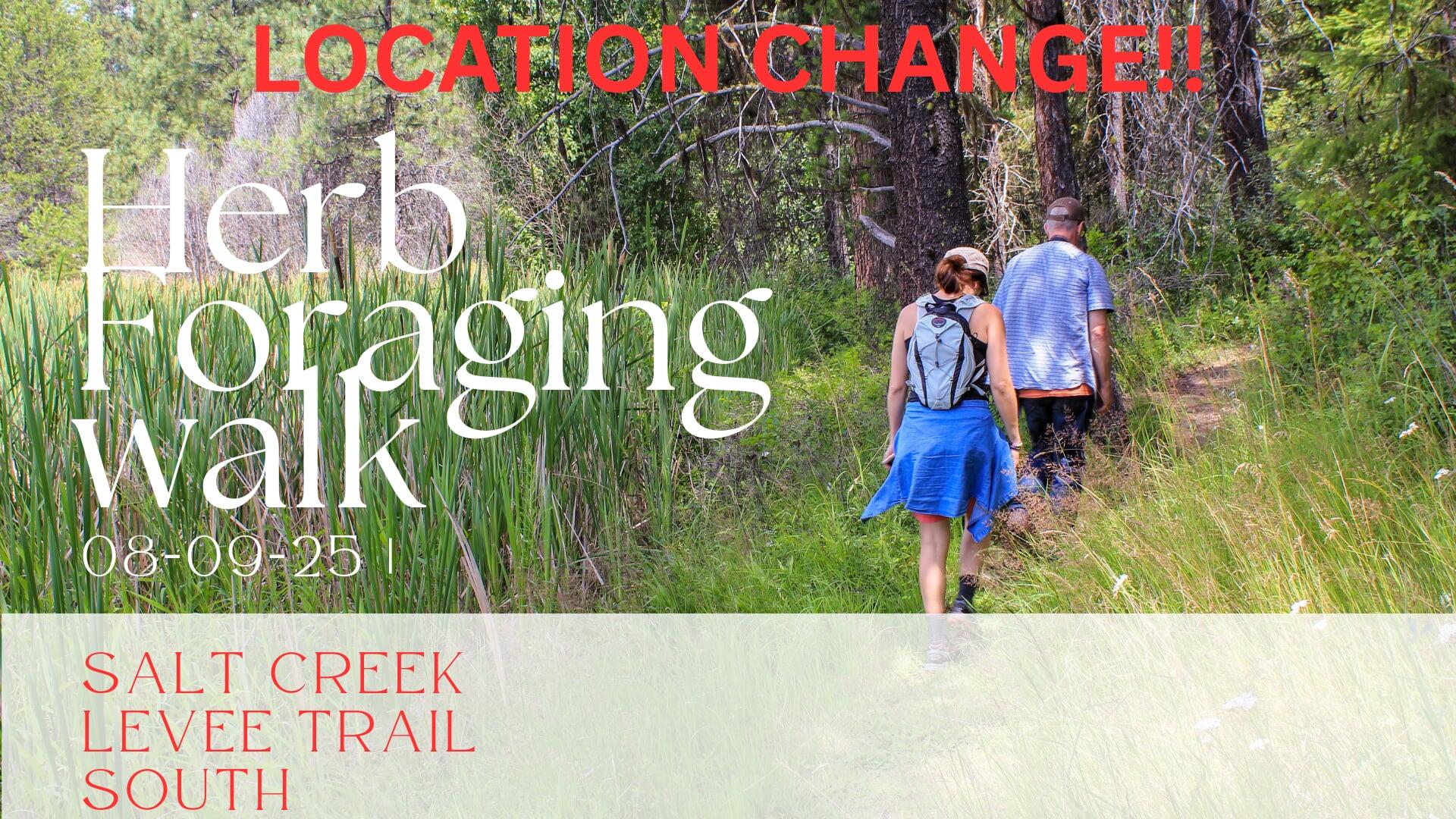 Herbal Foraging Walk at Salt Creek Levee Trail South | Herb Nerds of ...