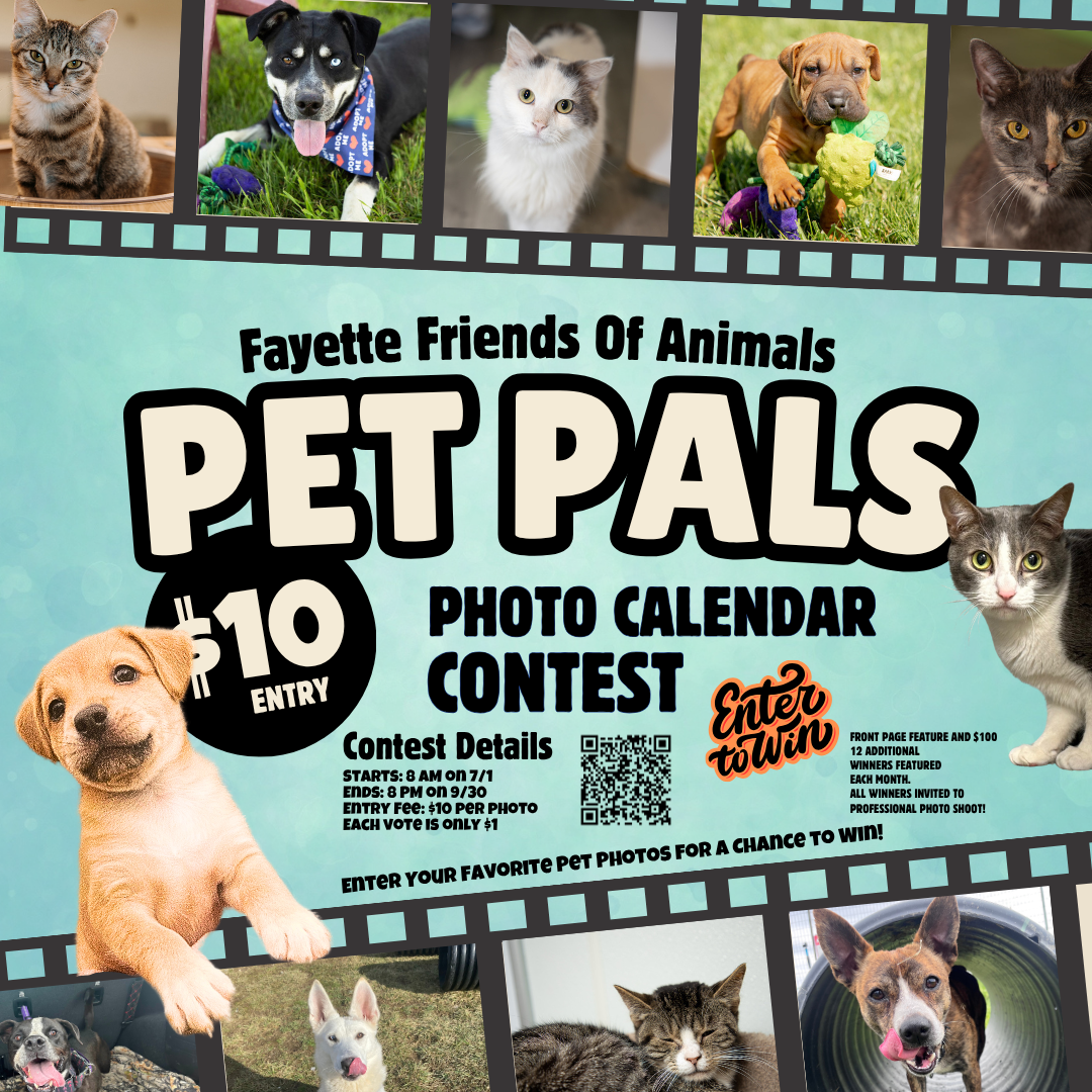 Pet Pals Photo Calendar Contest