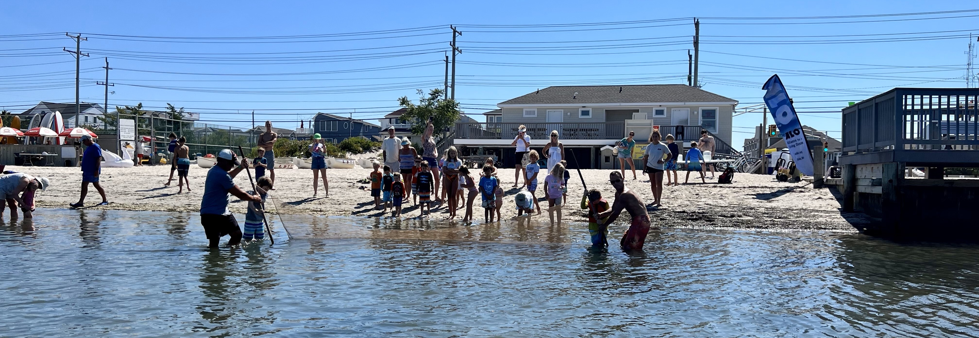 2023 Ship bottom Critter Round Up | Alliance for a Living Ocean