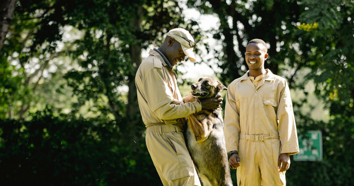 Kuru the Conservation Dog