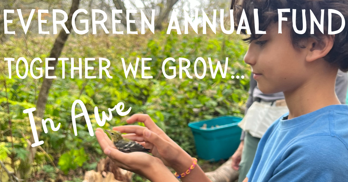 Evergreen Annual Fund