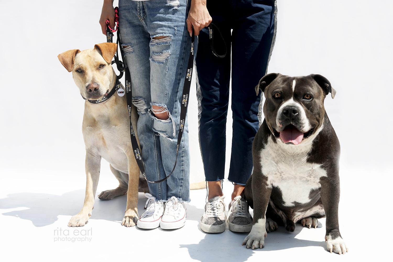 Community Pack Walk Program