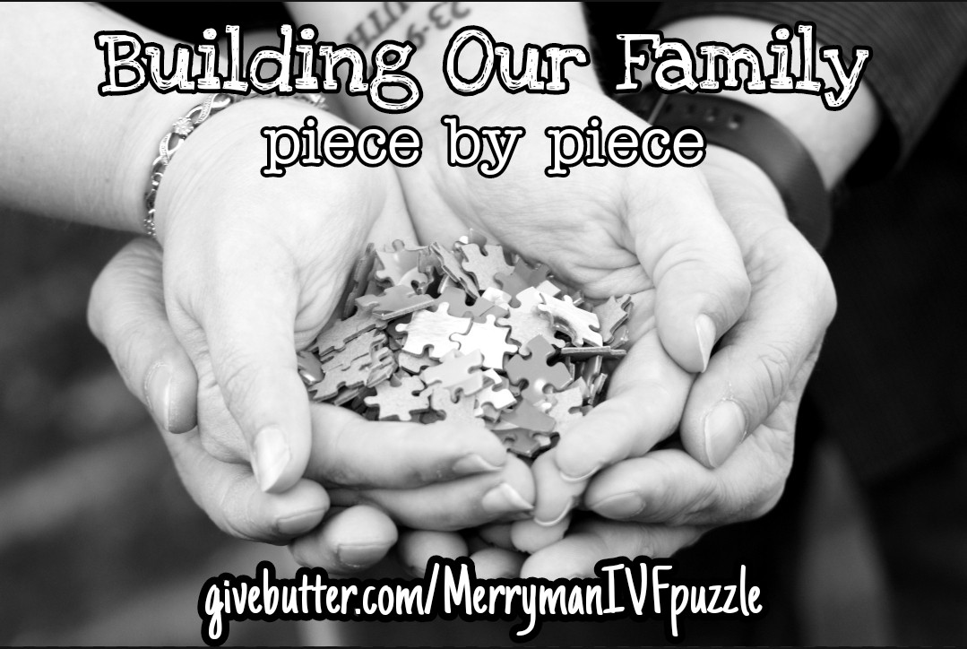Merryman IVF Round Two! Puzzle Fundraiser