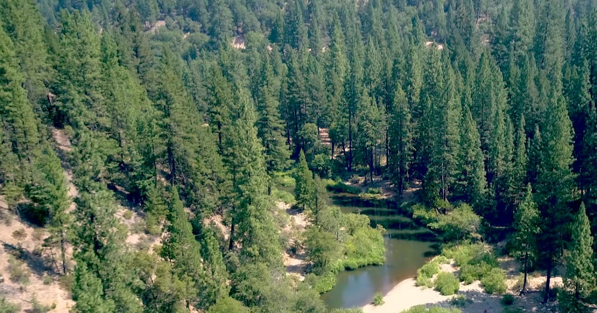 OFRC Summer Kickoff Auction