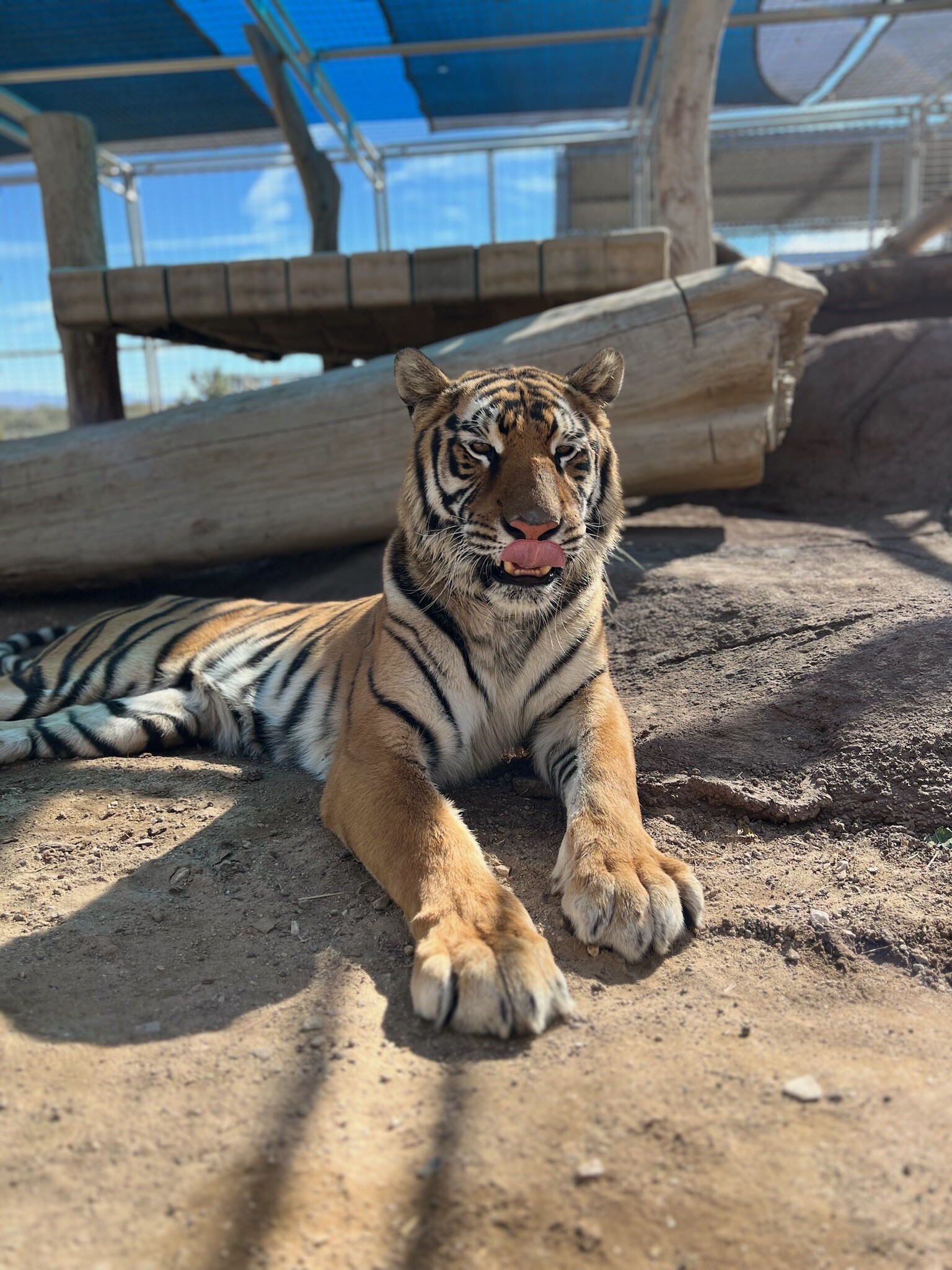 Forever Wild Friends | Forever Wild Exotic Animal Sanctuary