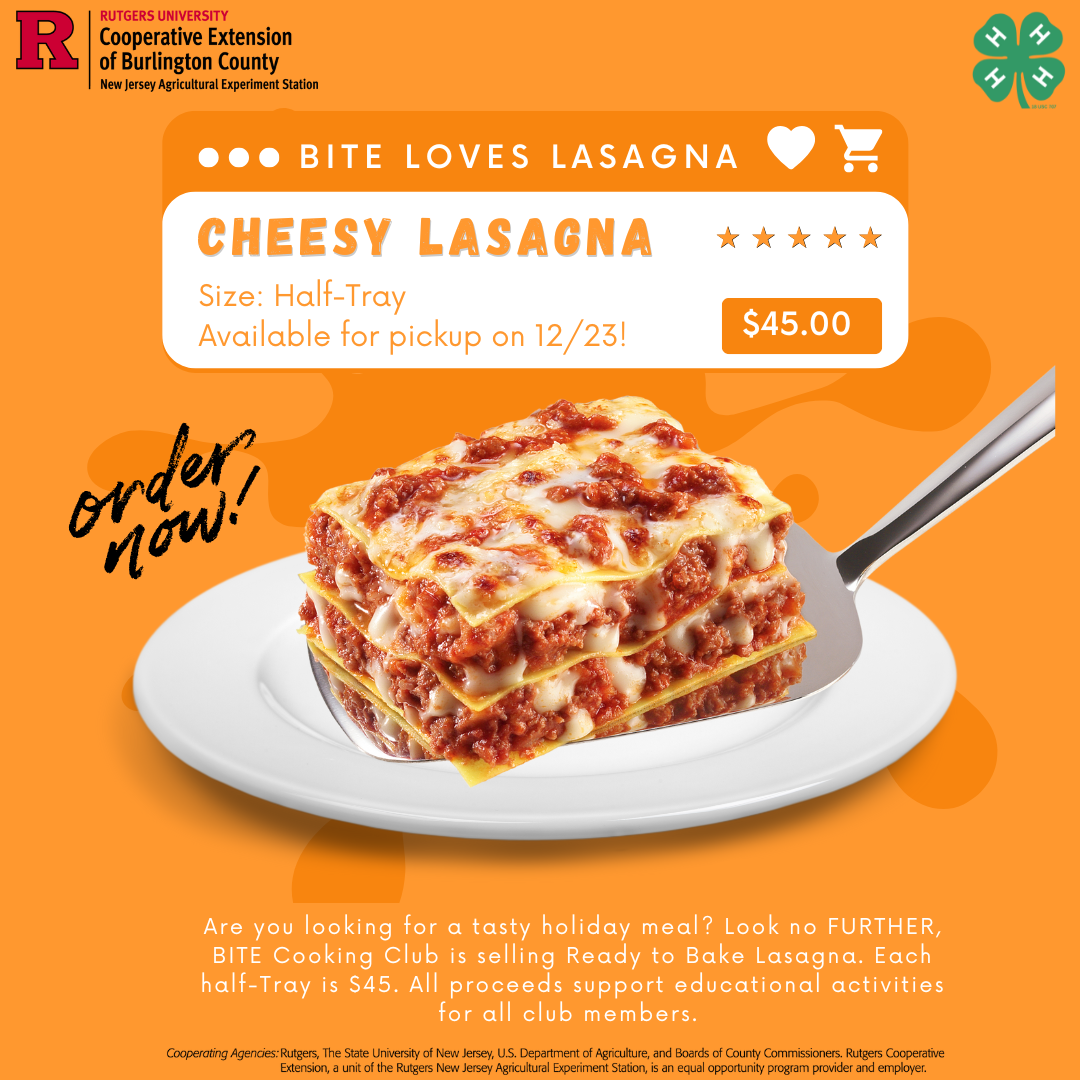BITE Loves Lasagna