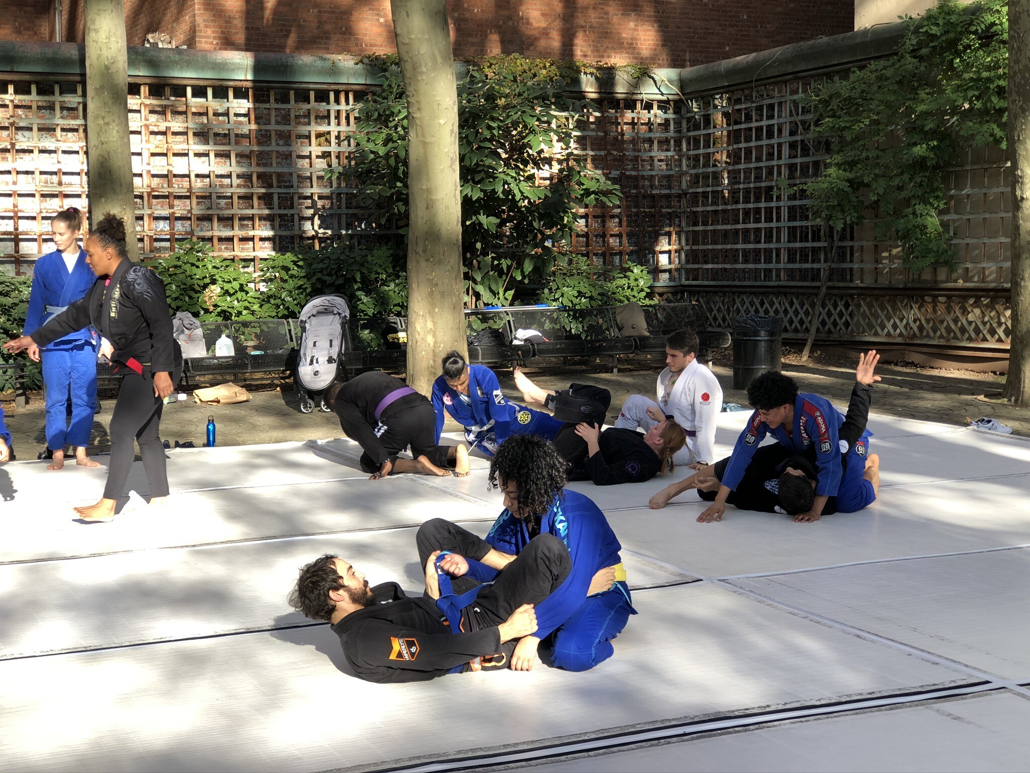 HFFA First Annual Grappling Showcase | Harlem Free Fight Academy