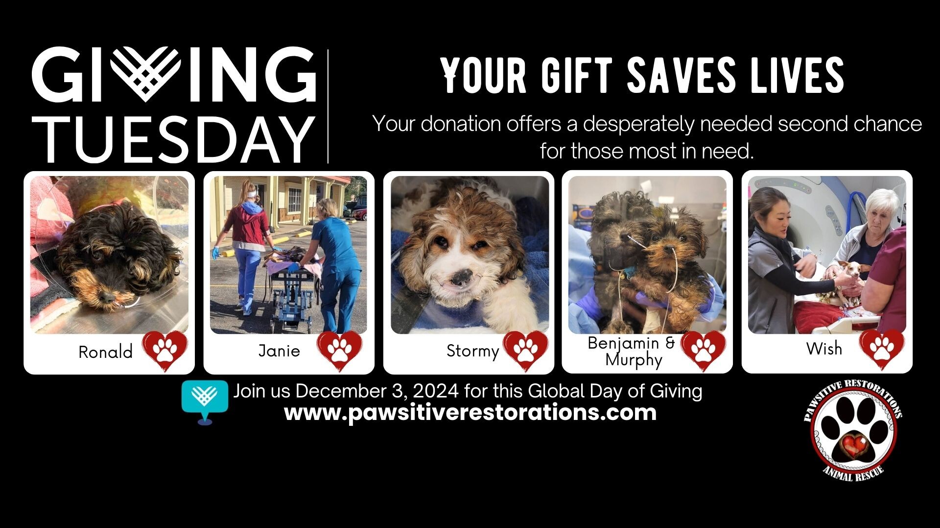 Giving Tuesday 2024 - Supporting Pawsitive Restorations Animal Rescue
