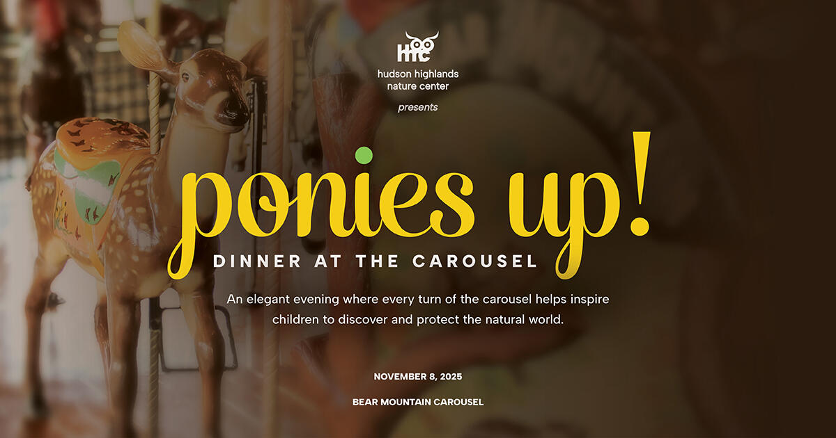HHNC PONIES UP! 2025 [FUND-A-NEED] | Hudson Highlands Nature Center