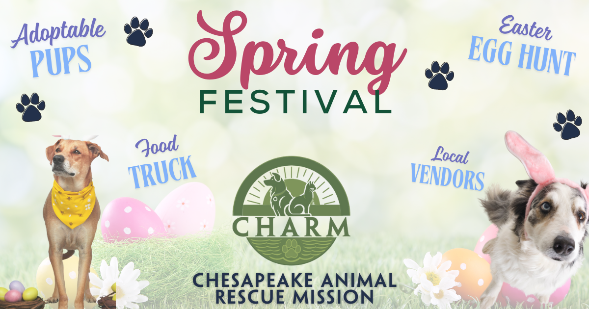🌷 CHARM Rescue Rebuild Spring Festival | CHARM Rescue