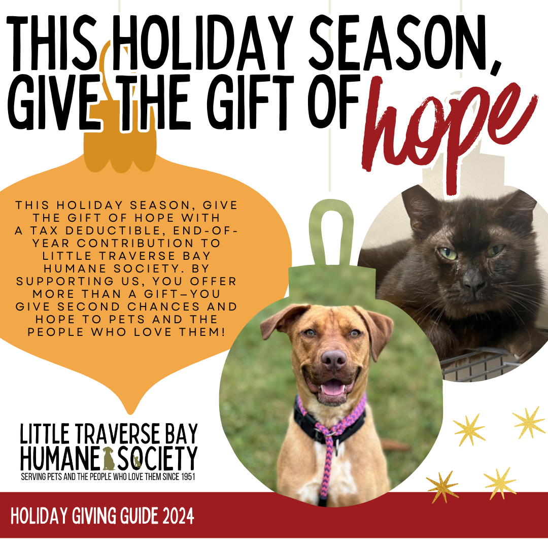 Holiday Giving
