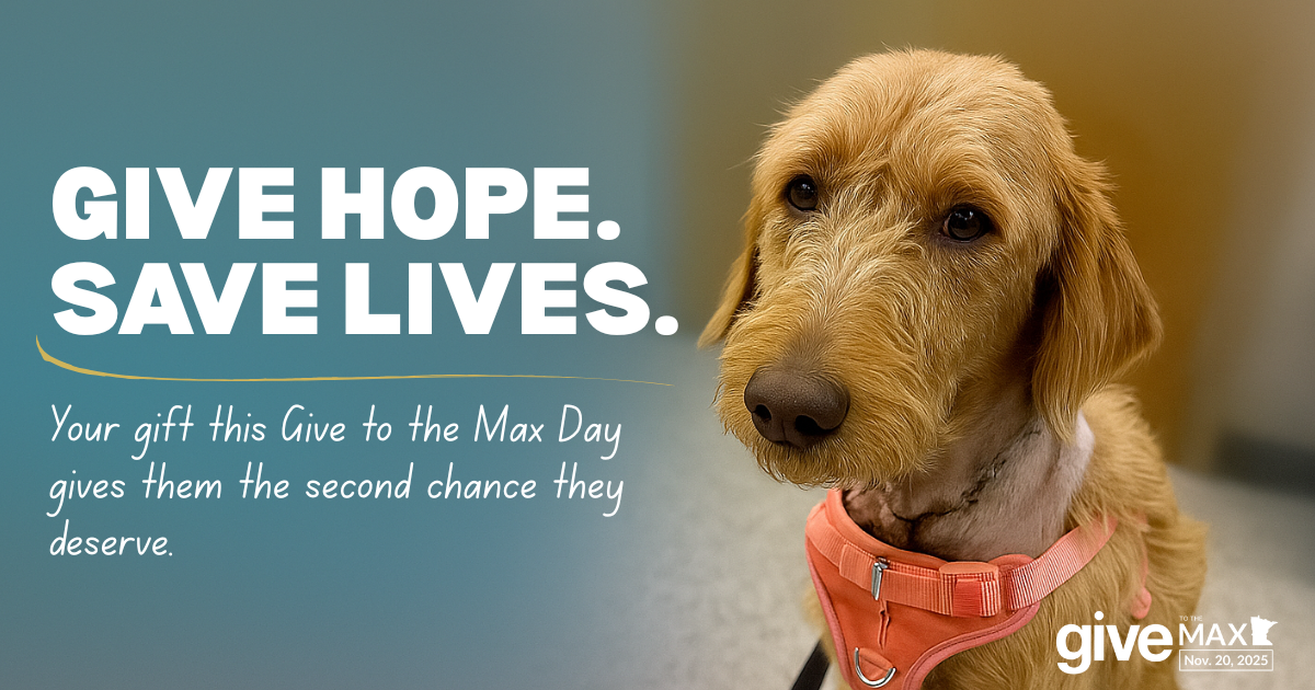 Give Hope. Save Lives | The Rescue Crew Give to the Max 2025 | The ...