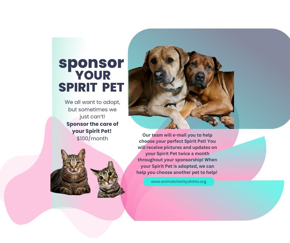 Sponsor your Spirit Pet