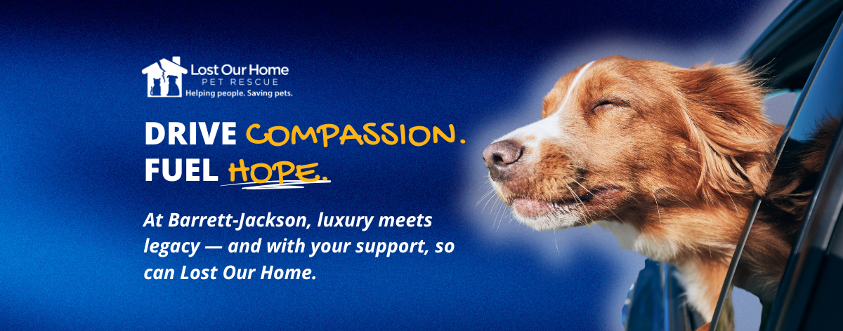 Drive Compassion, Fuel Hope 🏎️ 🐾