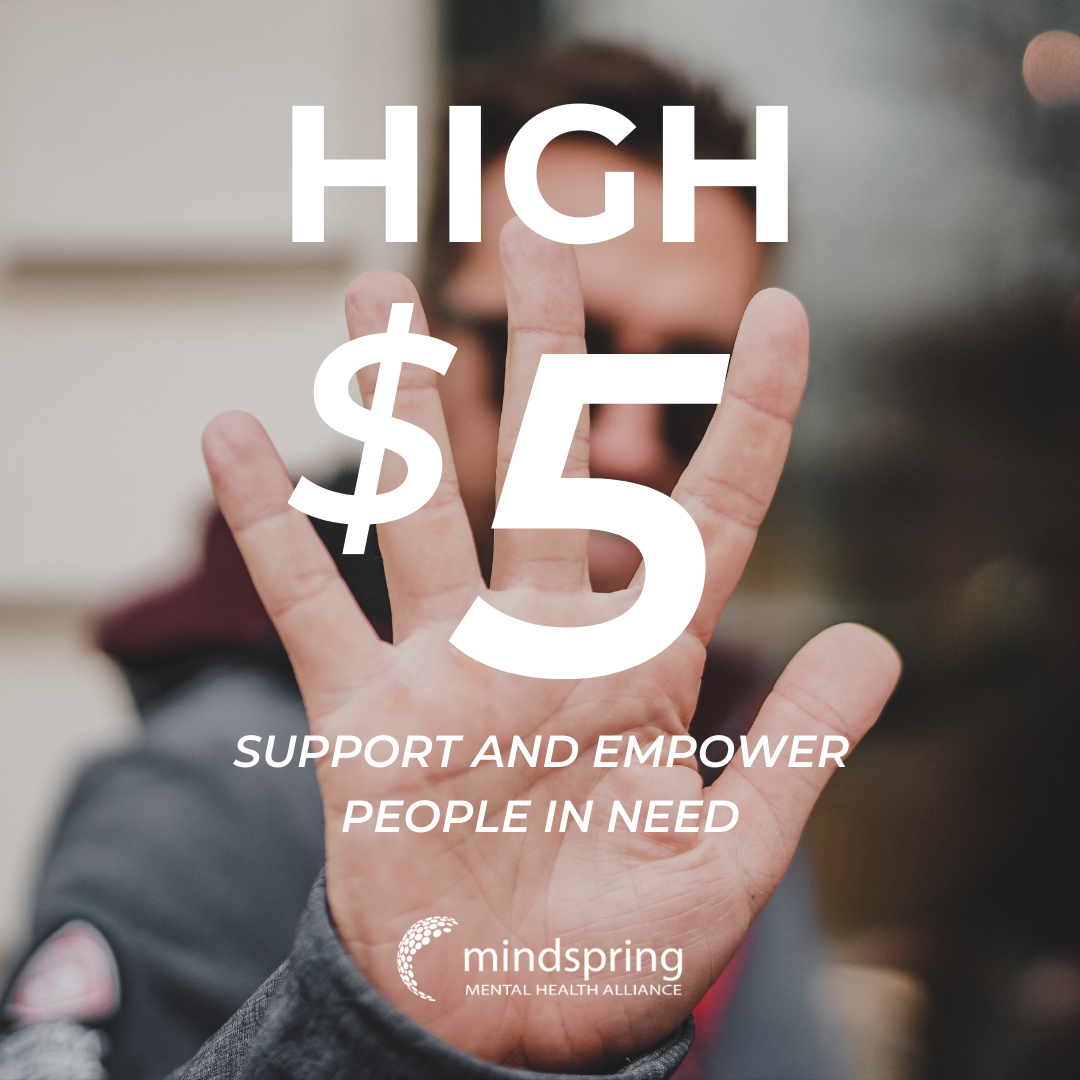 High Five Campaign | Mindspring Mental Health Alliance