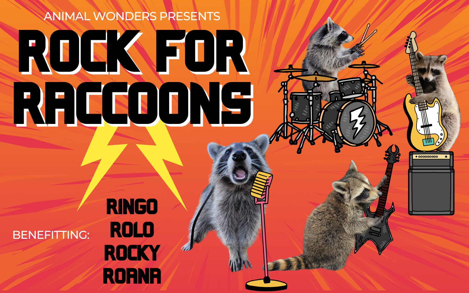Rock for Raccoons | Animal Wonders Inc