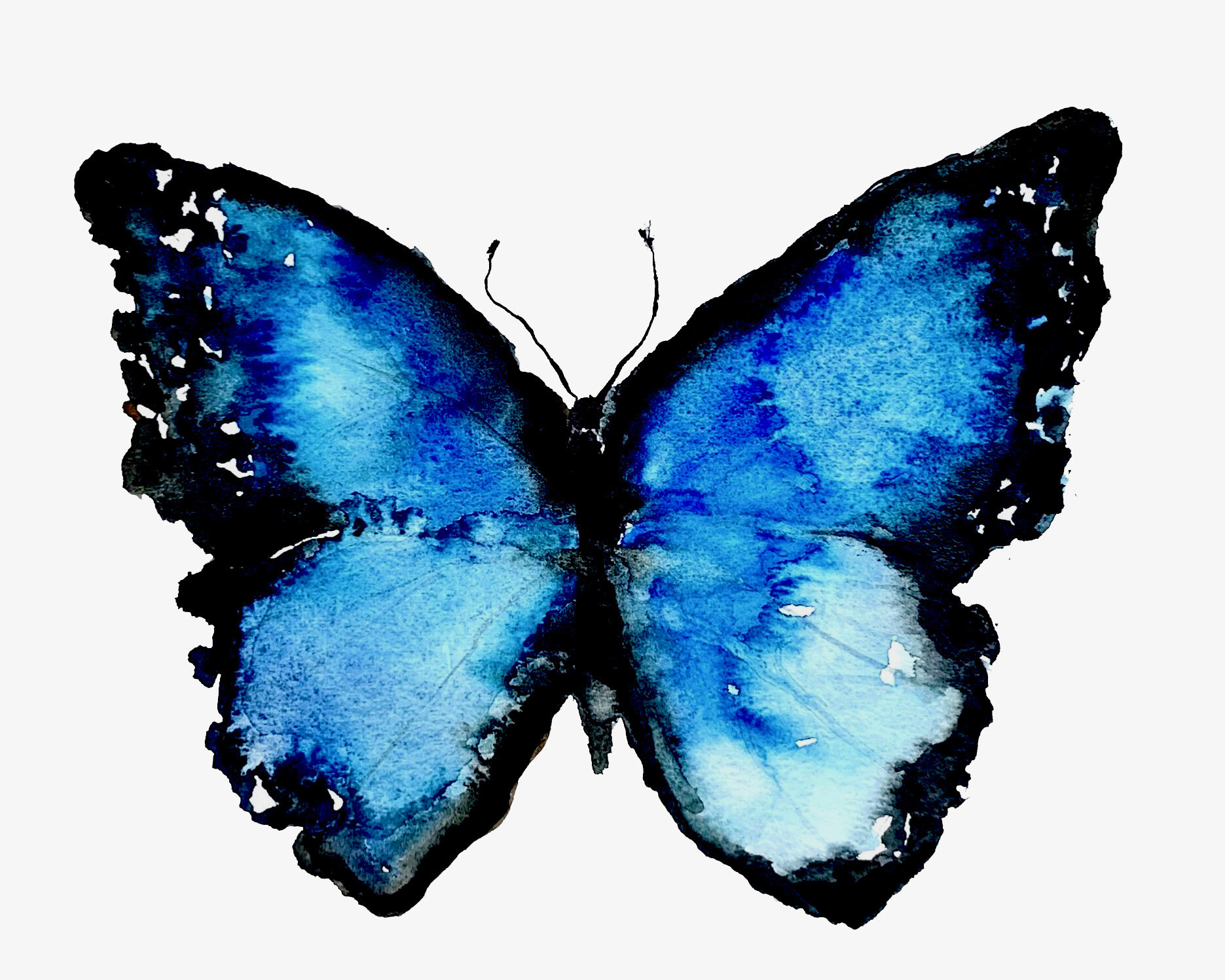 Kids Introduction to Watercolor with Michelle Detering