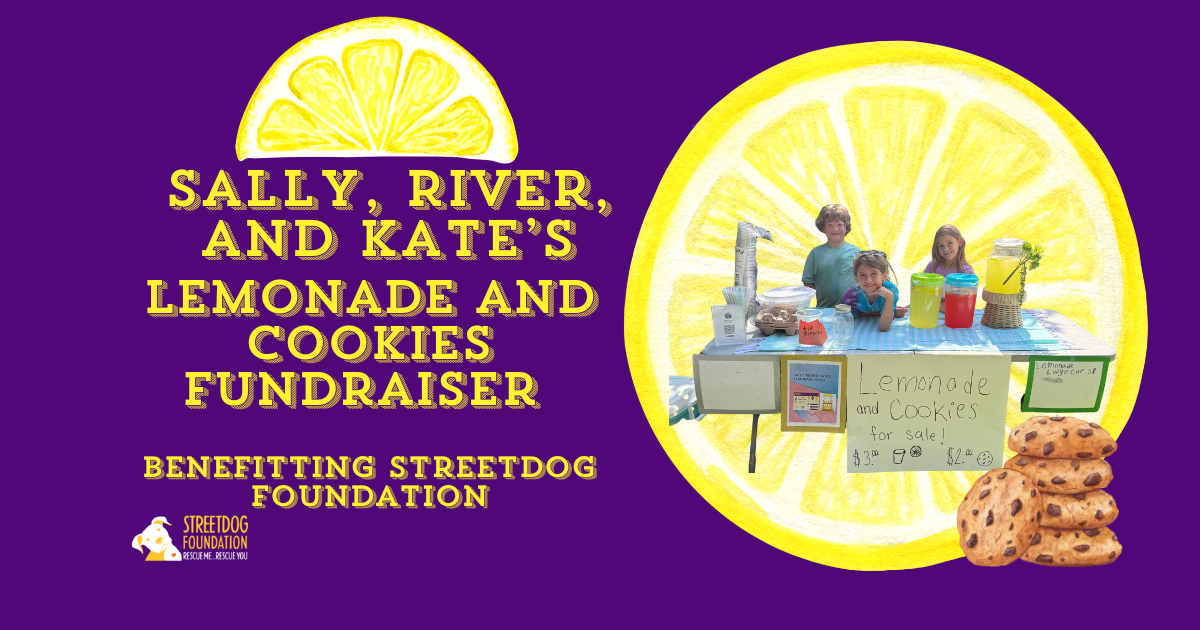Sally, River, and Kate's Lemonade Stand