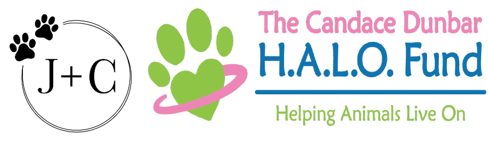 Pulec Wedding Registry for The Candace Dunbar H.A.L.O. Fund ...