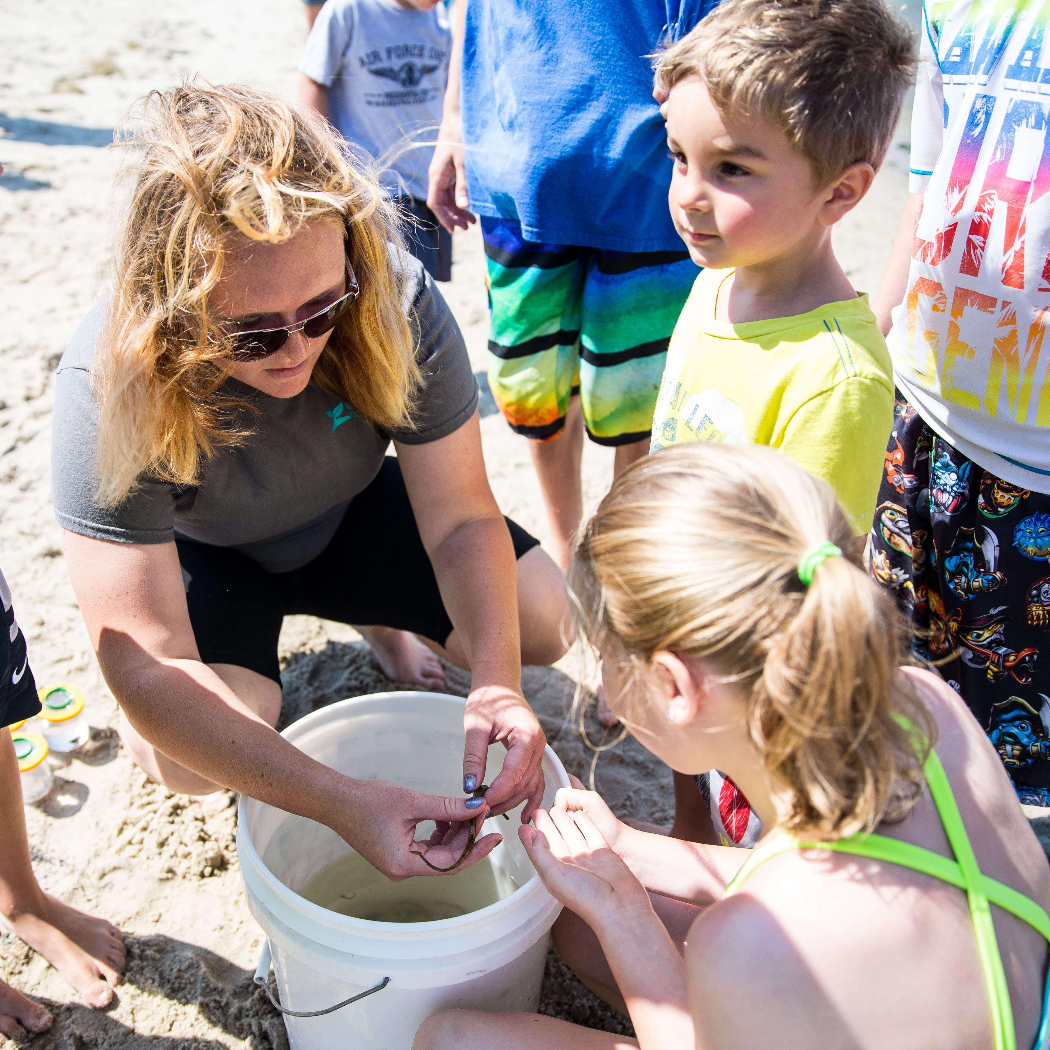 Ship Bottom Critter Round Up - Summer Seining 2020 7/7
