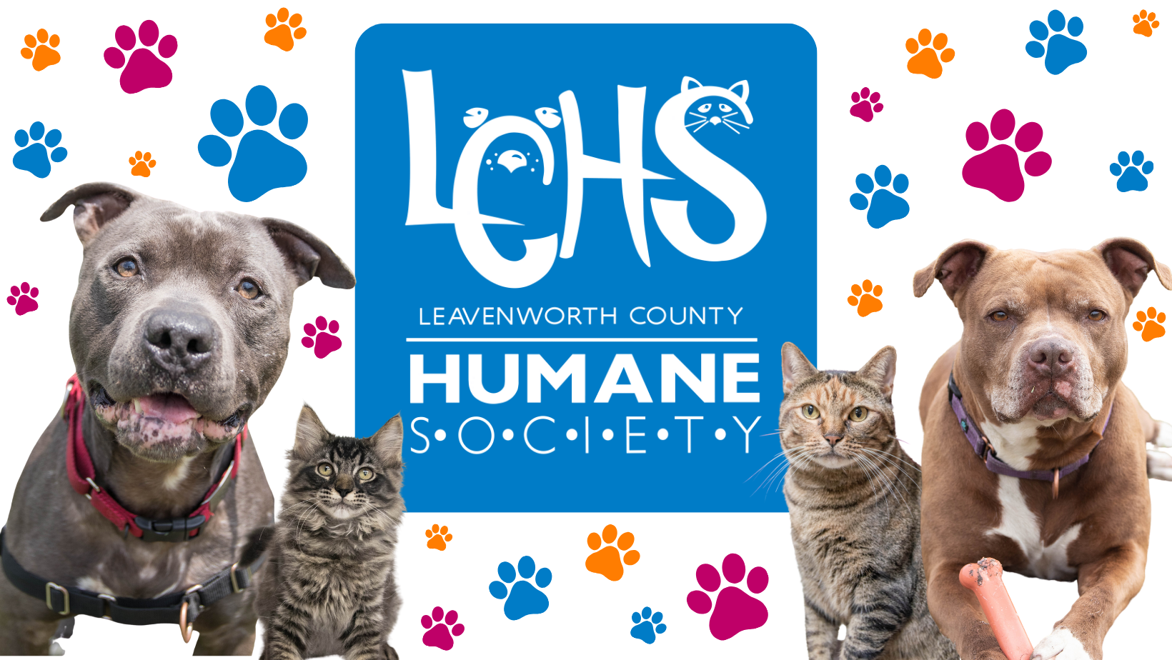 Donate Now! | Leavenworth County Humane Society, Inc.